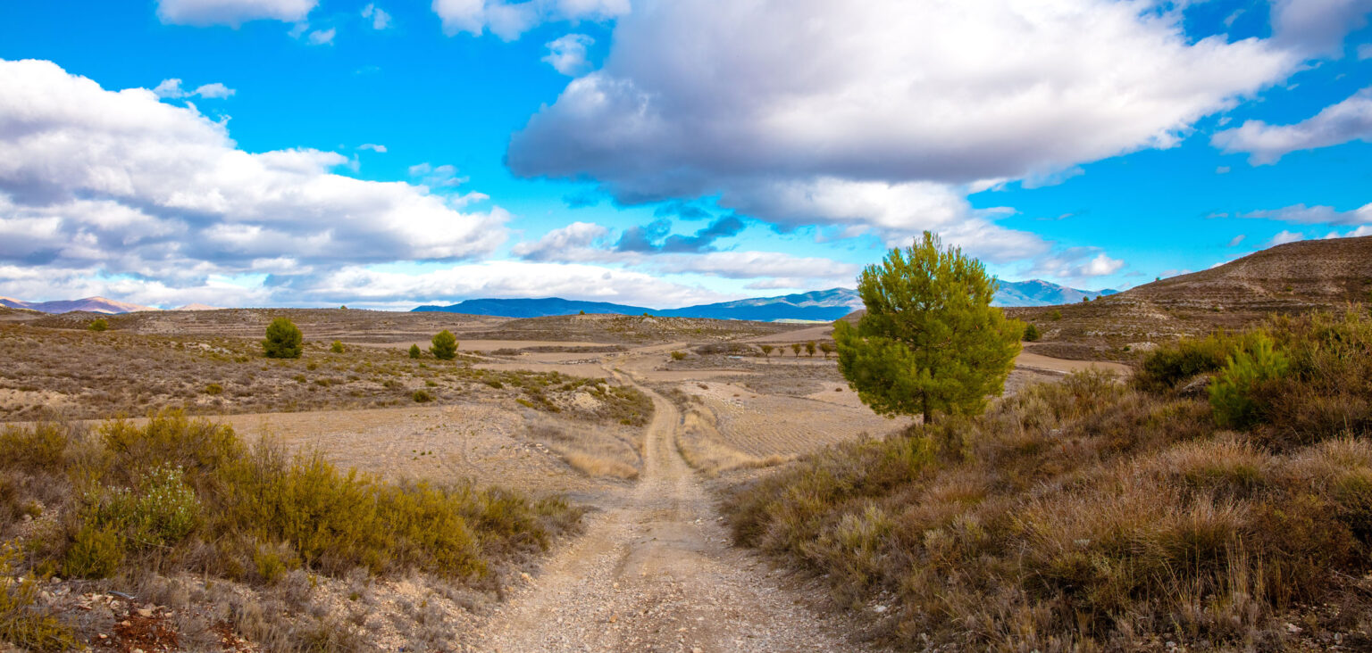 Megado Minerals Limited – We are an exploration company focused on ...